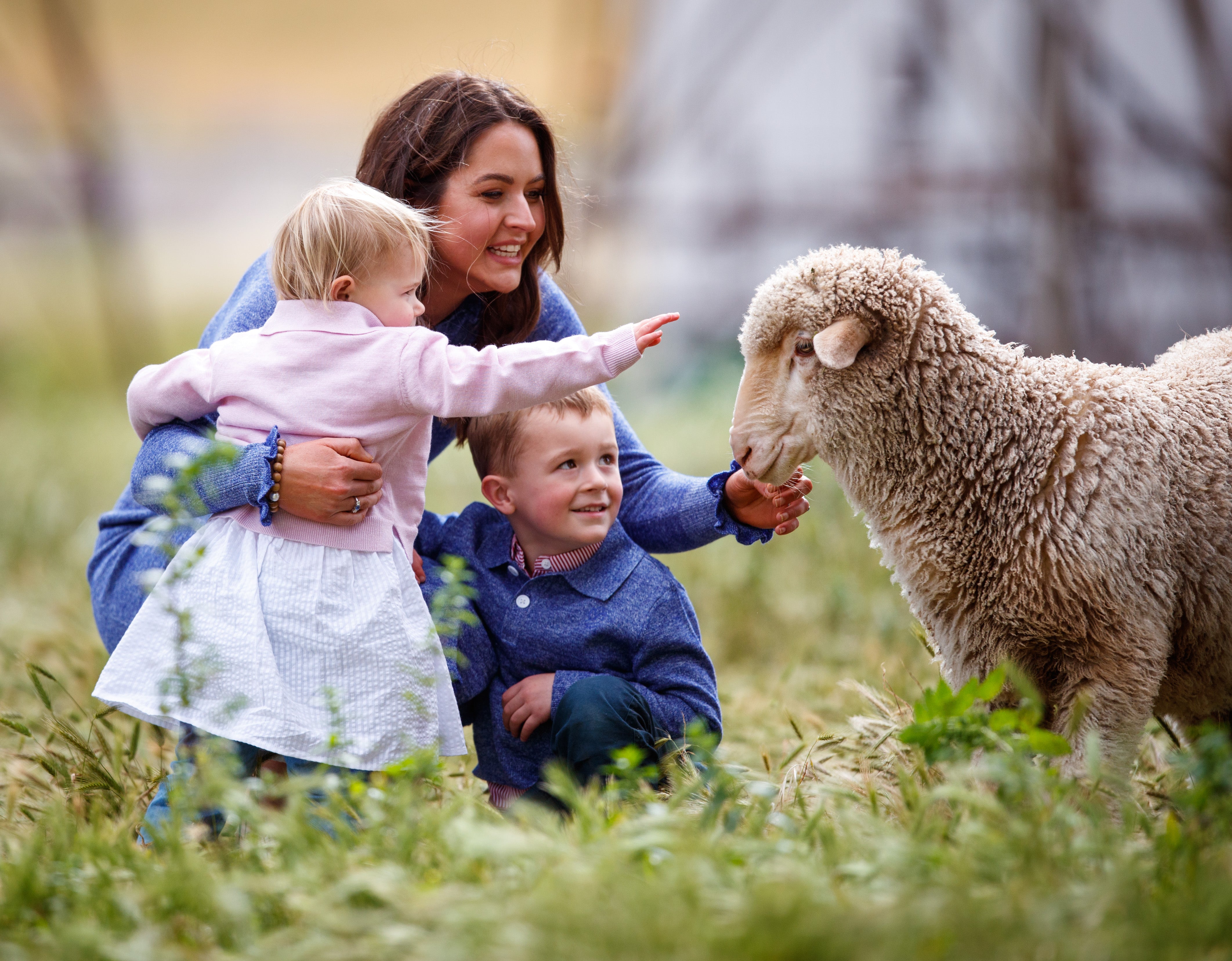 The Adventures of Iris and Wool